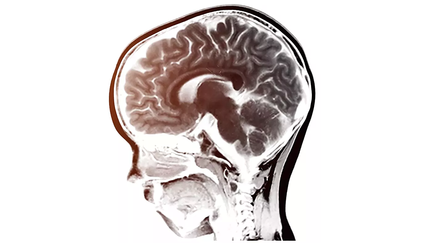 Sneak G.O.A.T – Sneak US